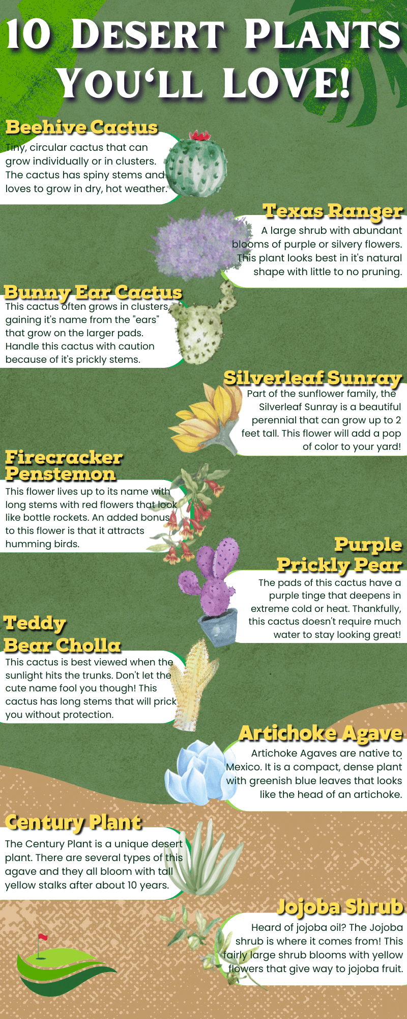 Spotlight: 10 Awesome Desert Plants to Add to Your Lawn! – Everything ...