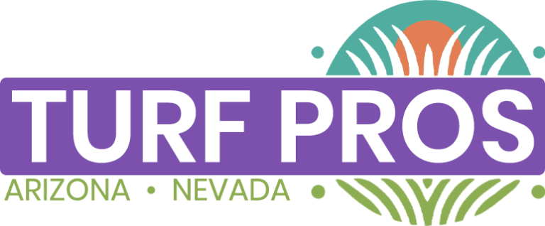 Everything Turf Pros – Arizona – Nevada – Transform Your Outdoor Space